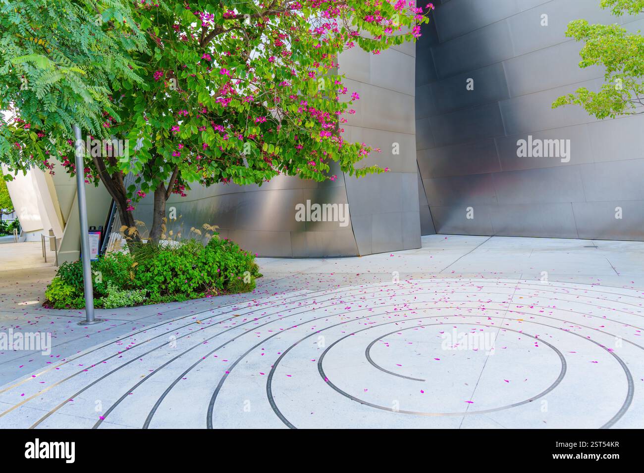 Los Angeles, California - January 7, 2025: Close-up of a spiral pathway ...