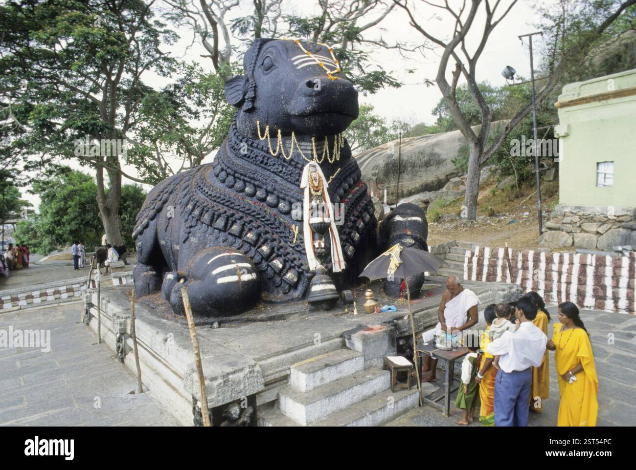 330 Years Old Nandi, Chamundeshware Temple, Mysore, Karnataka, India ...
