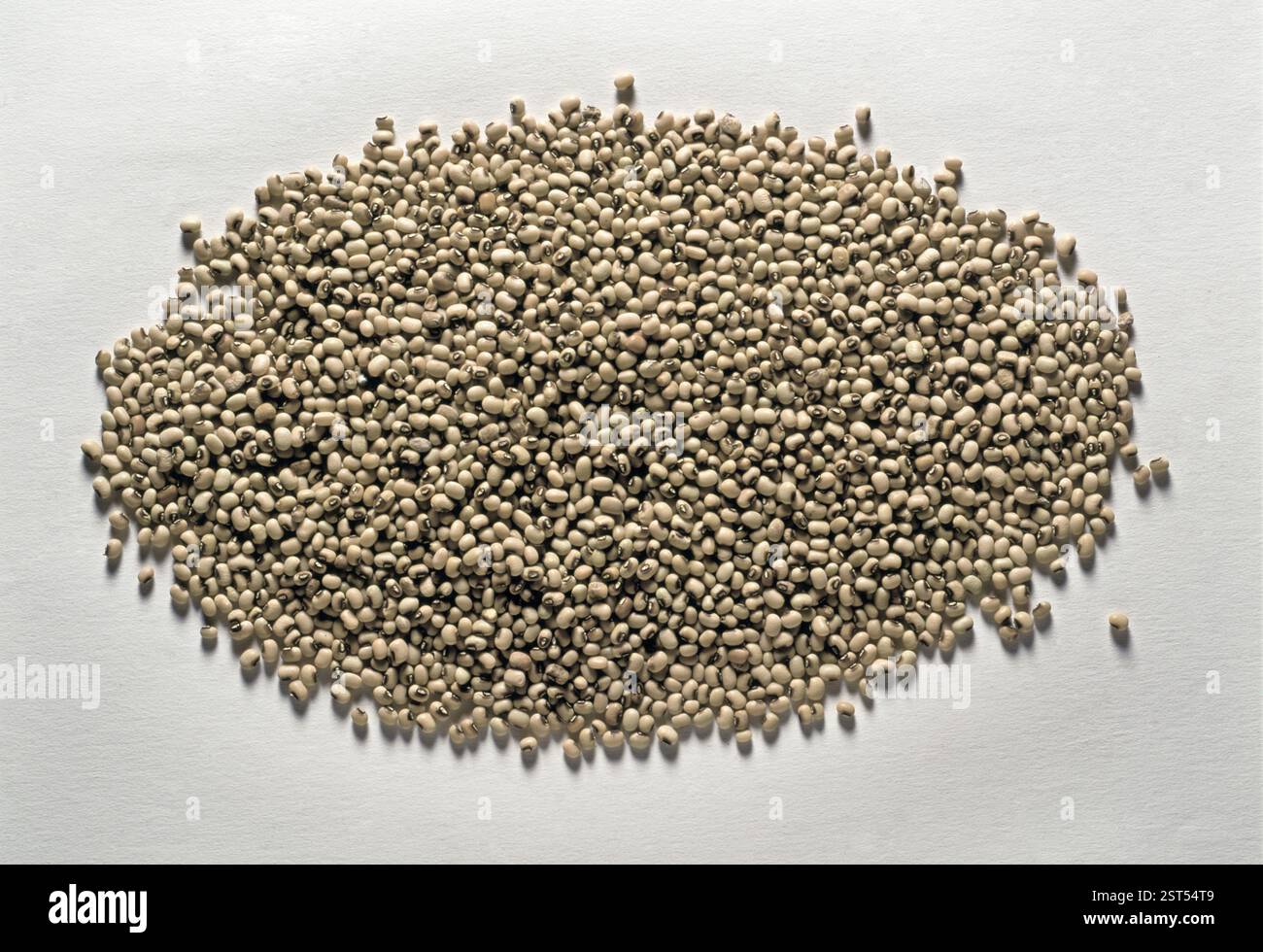 Food, Black, Eyed Beans, vigna sinensis Stock Photo - Alamy
