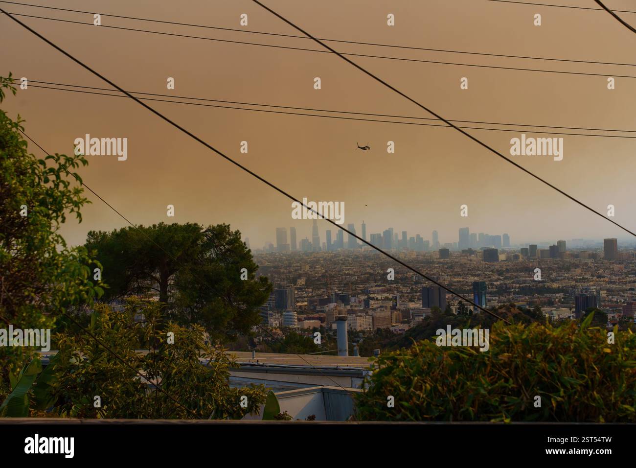 Los Angeles, California - January 8, 2025: View from Runyon Canyon ...