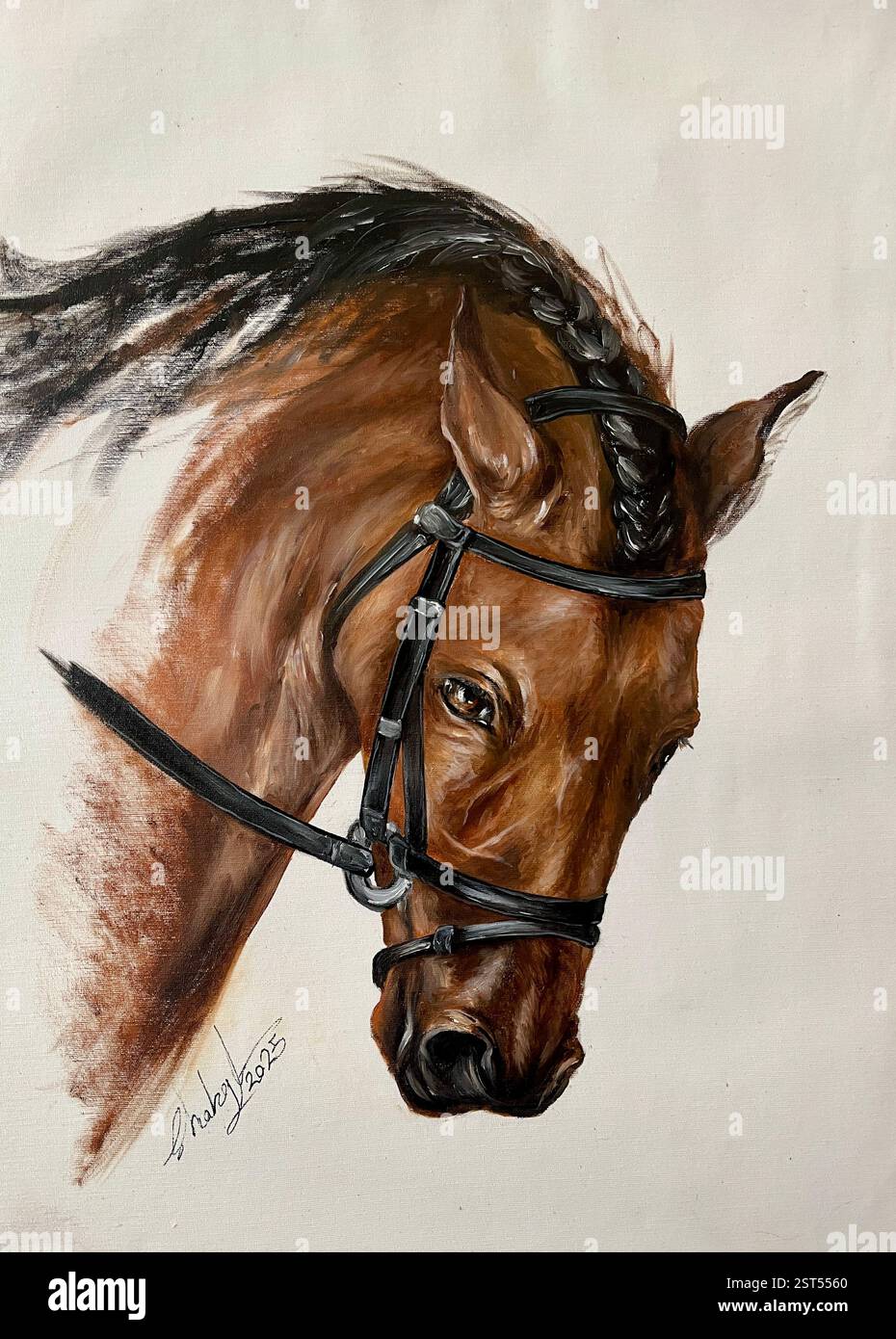 Excellence with horse hi-res stock photography and images - Alamy