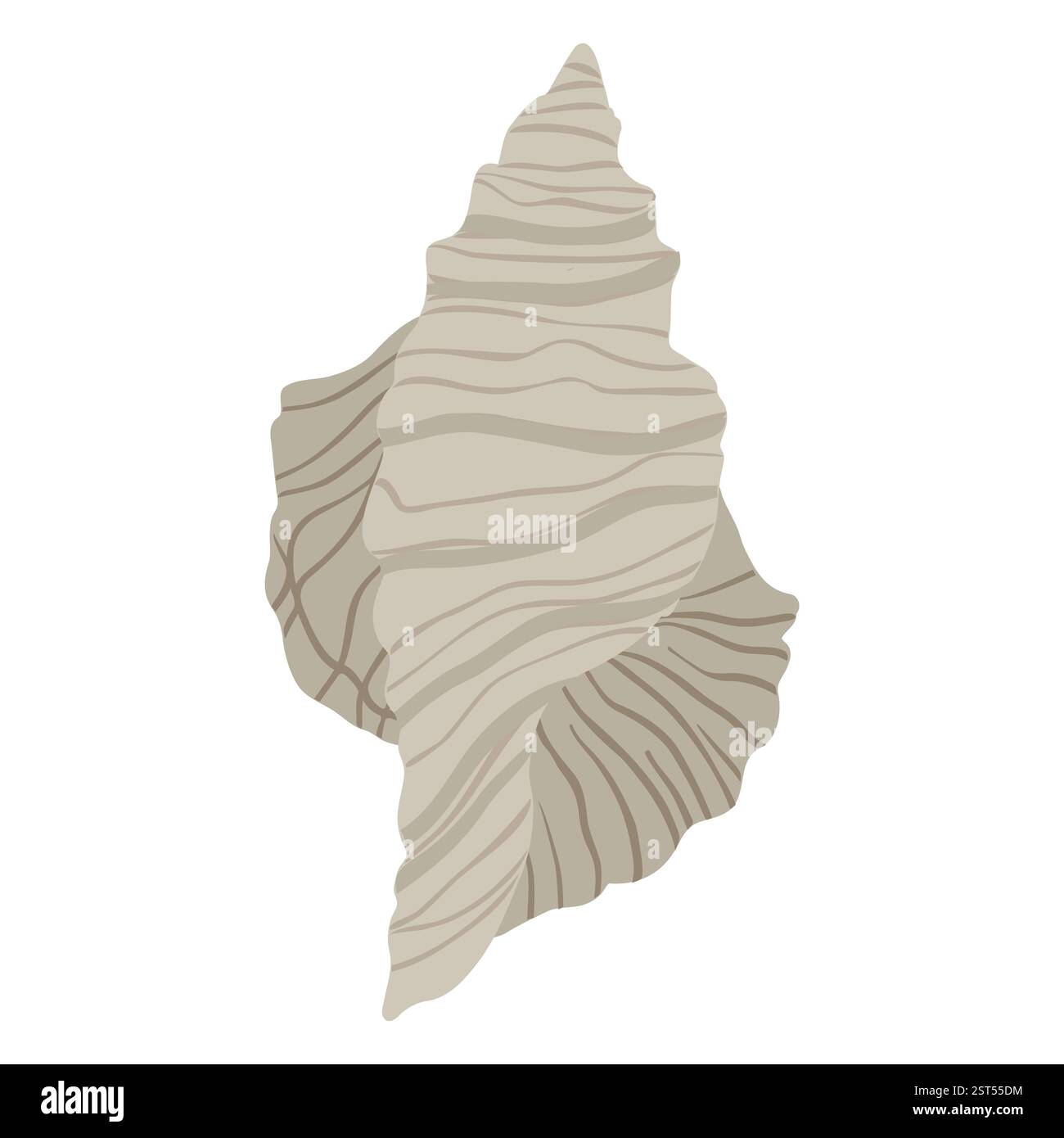 Oyster shells on sea Stock Vector Images - Alamy