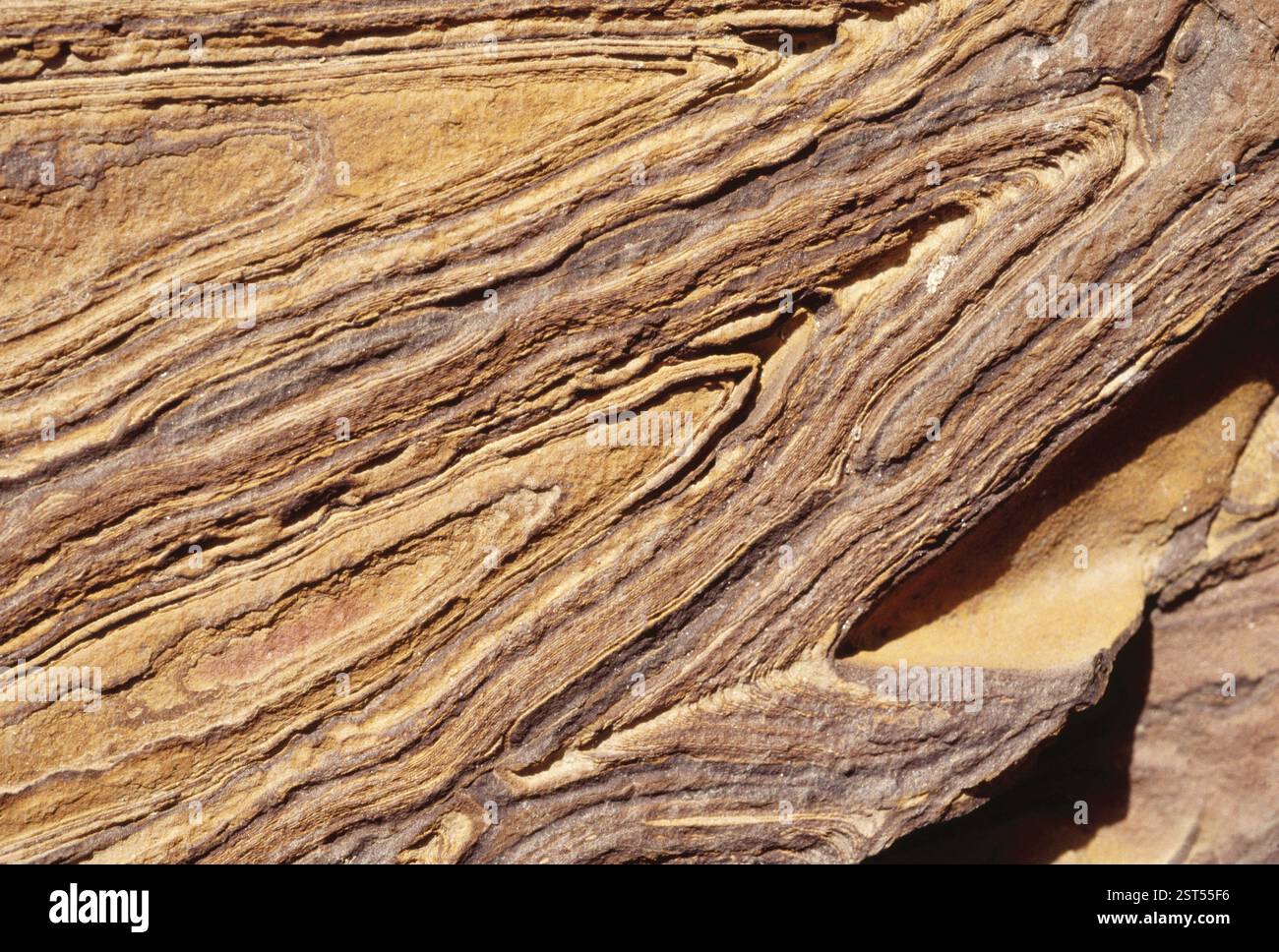 Stone form, kutch, gujarat, india Stock Photo - Alamy
