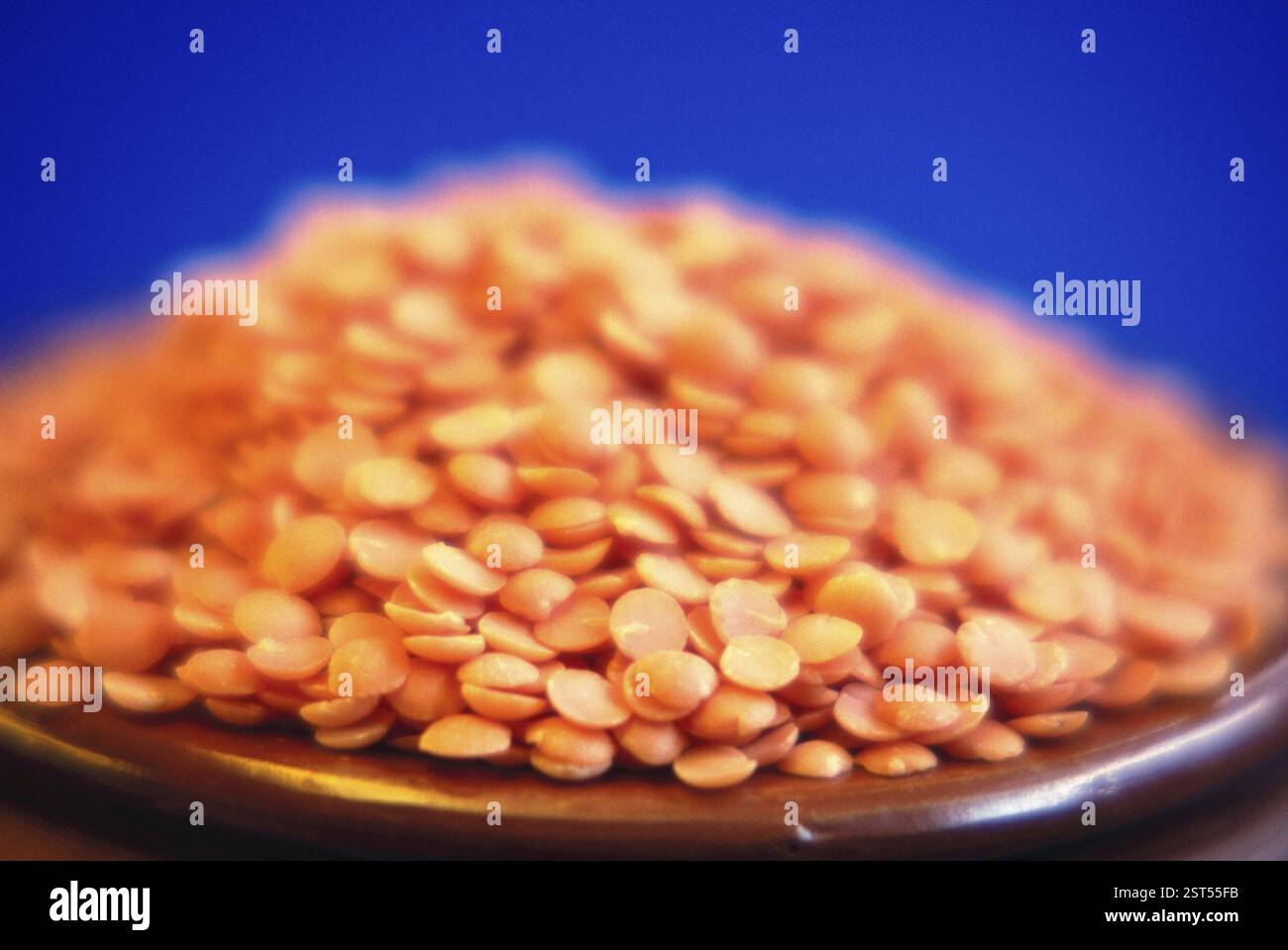 Grain, Split Red Lentils Lens culinaris in earthen pot Stock Photo - Alamy