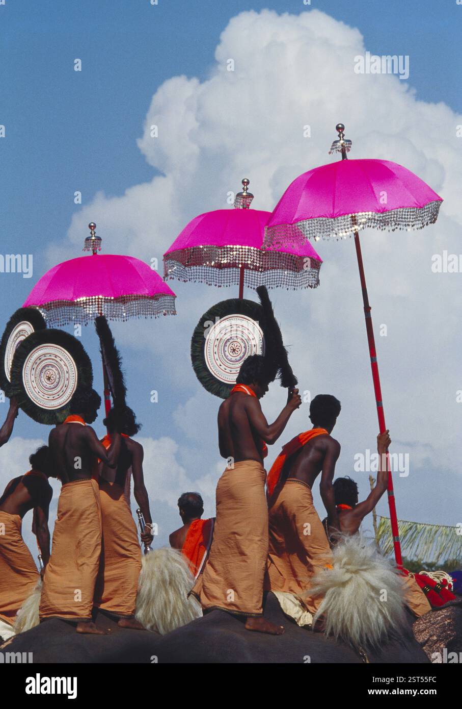 Trichurpooram pooram, Elephants March procession of bejeweled temple ...