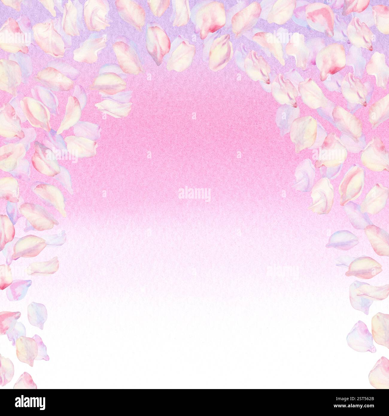 Frame with sakura flowers on gradient color background. Spring blooming ...