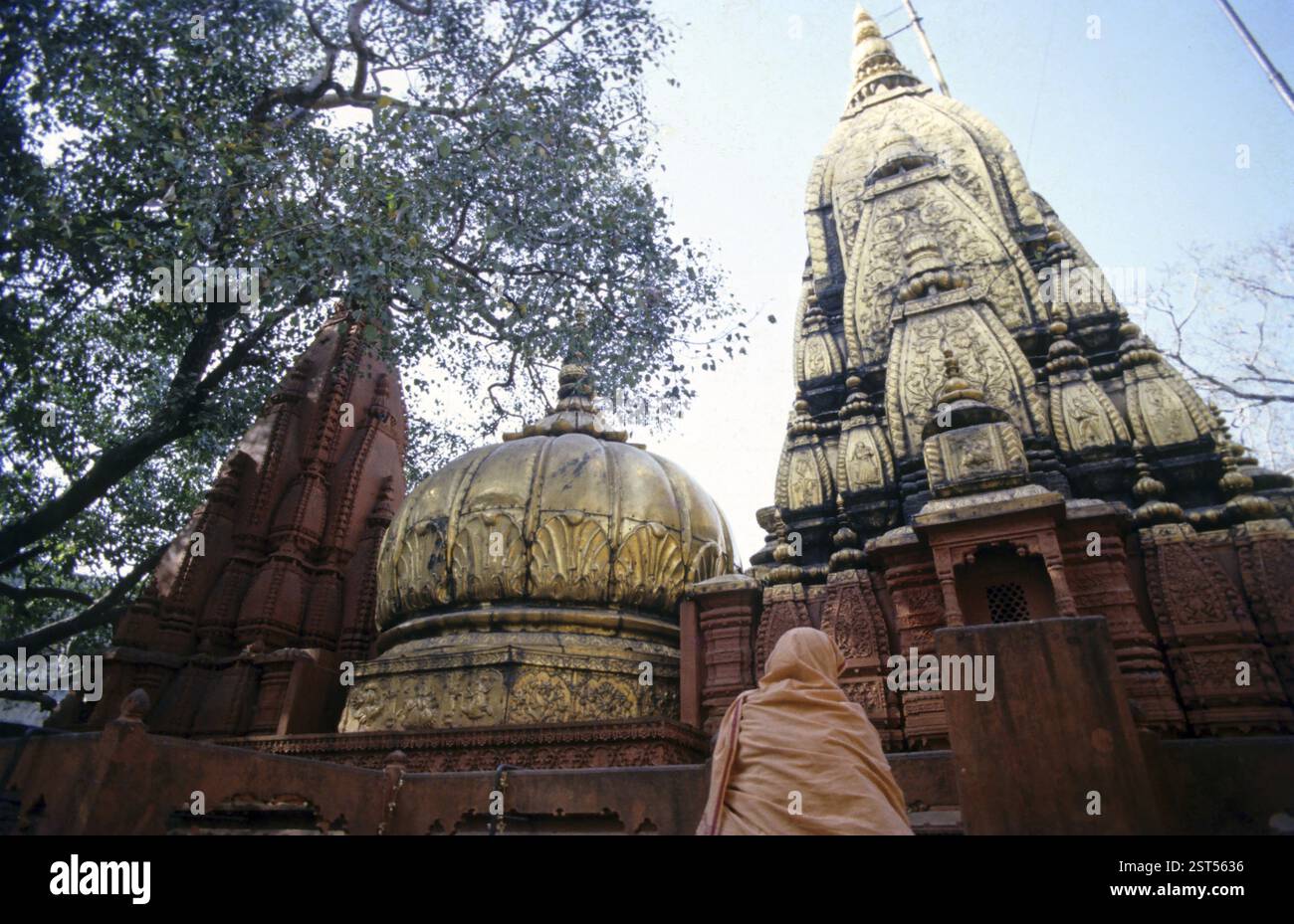Kashi vishwanath temple varanasi hi-res stock photography and images ...