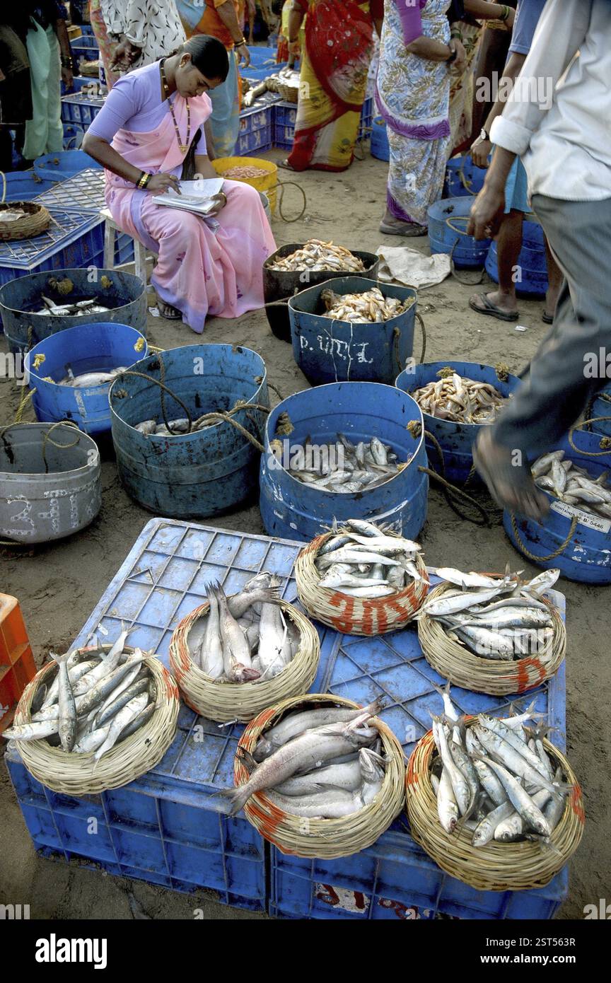 Indian fisherwomen writing the daily sale of fish in her diary, Versova ...