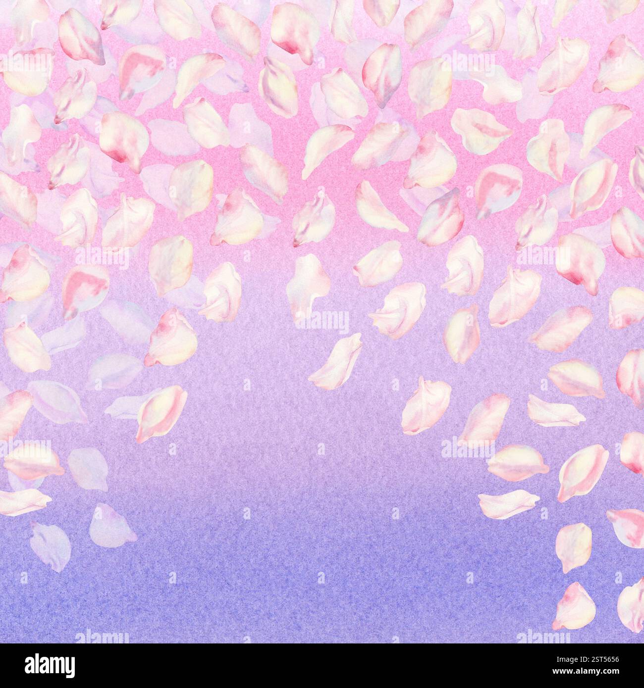 Frame with sakura flowers on gradient color background. Spring blooming ...