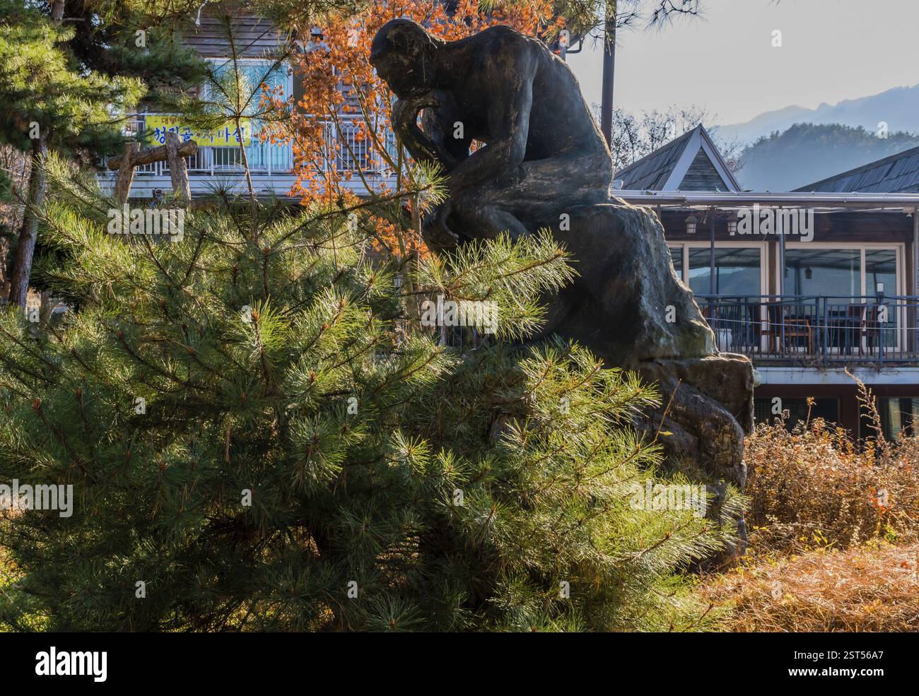 The thinker statue behind hi-res stock photography and images - Alamy