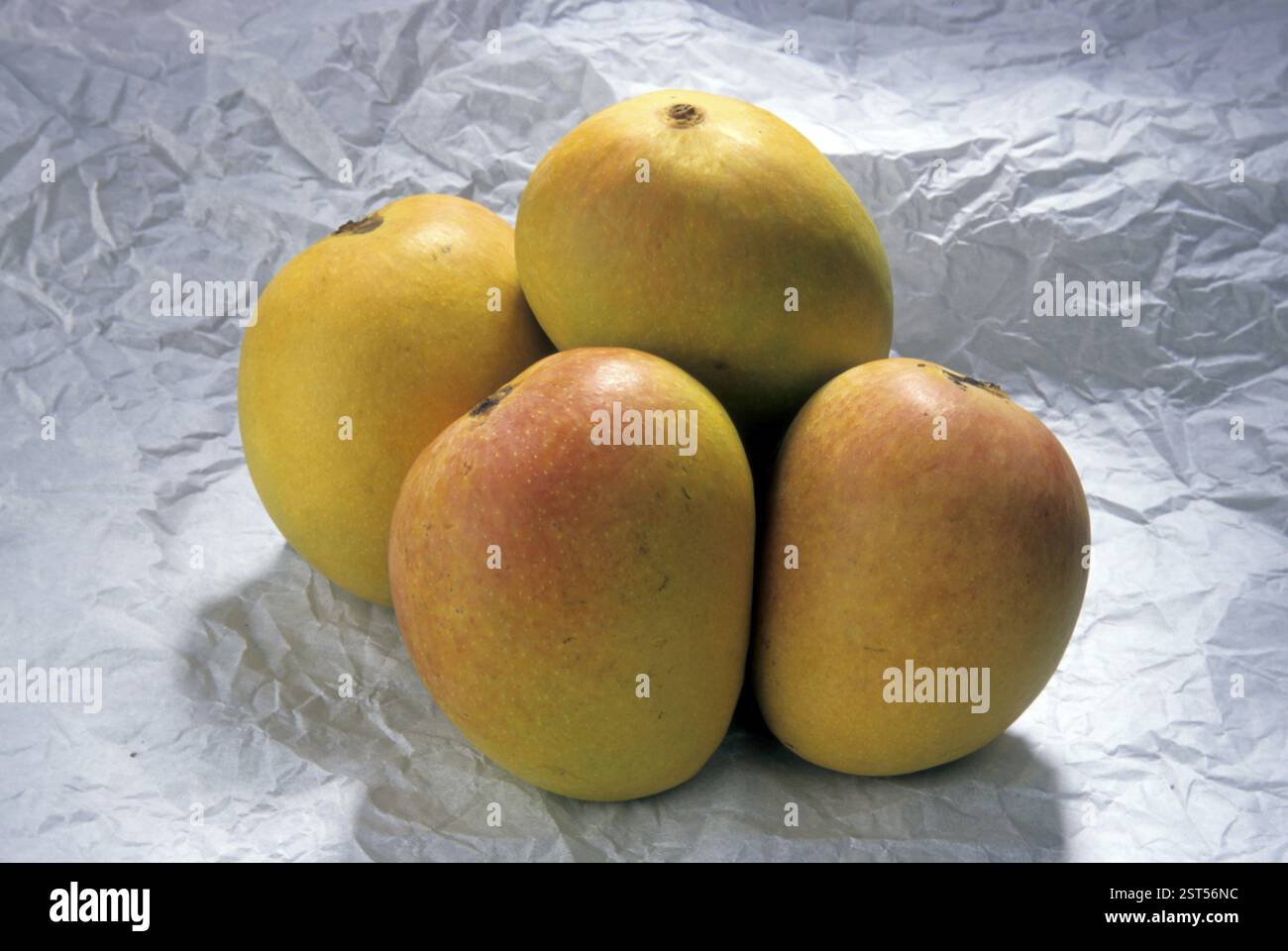 Mango, India, Asia Stock Photo - Alamy
