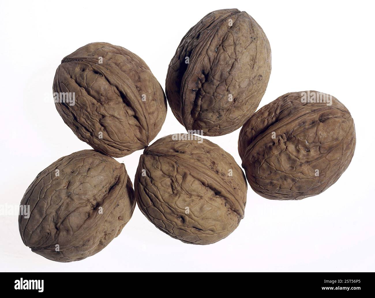 Akhrot, dried fruits five walnuts in shell on white background Stock ...