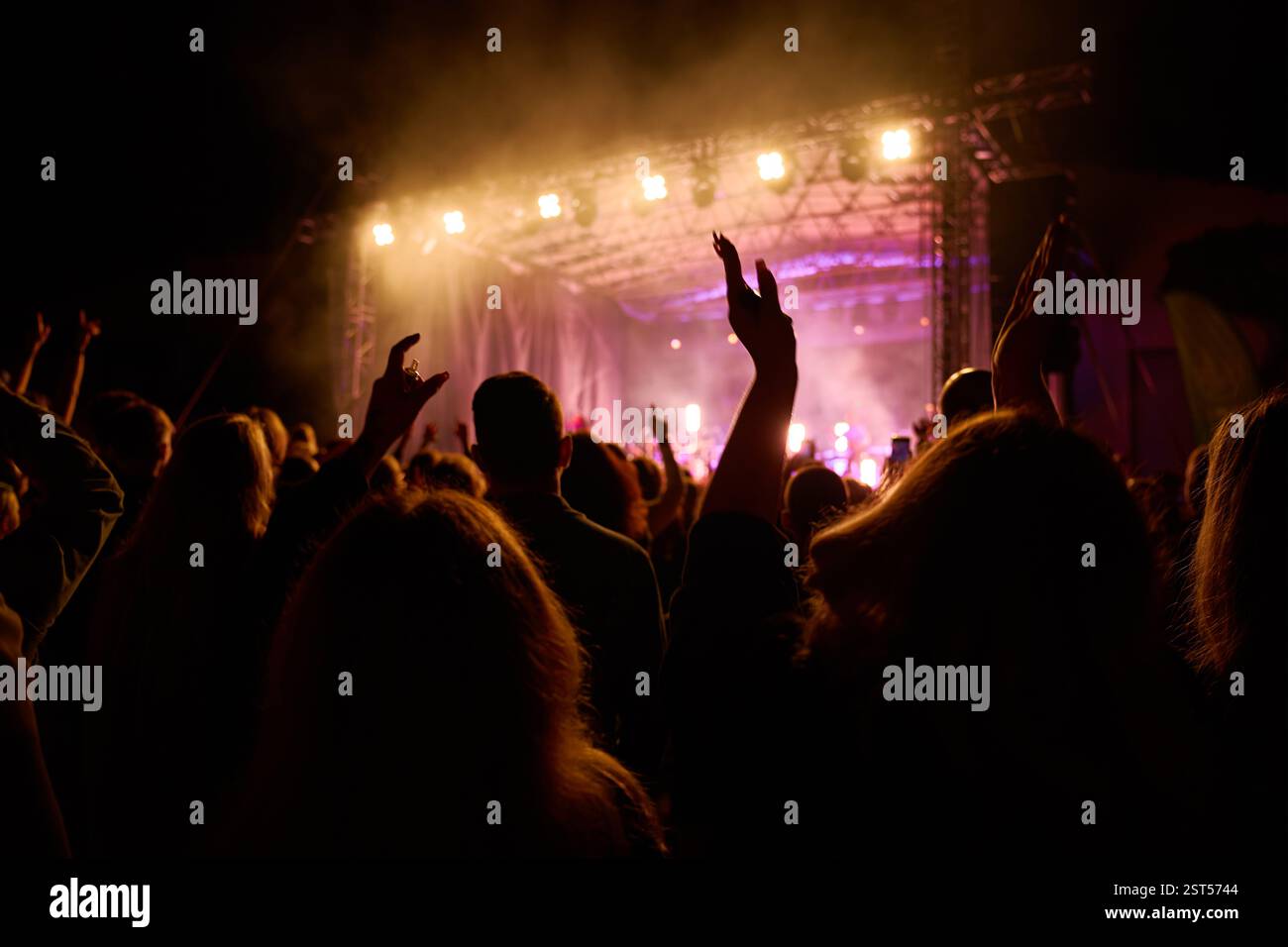 Fans are enjoying and applauding live music concert at night, raising ...
