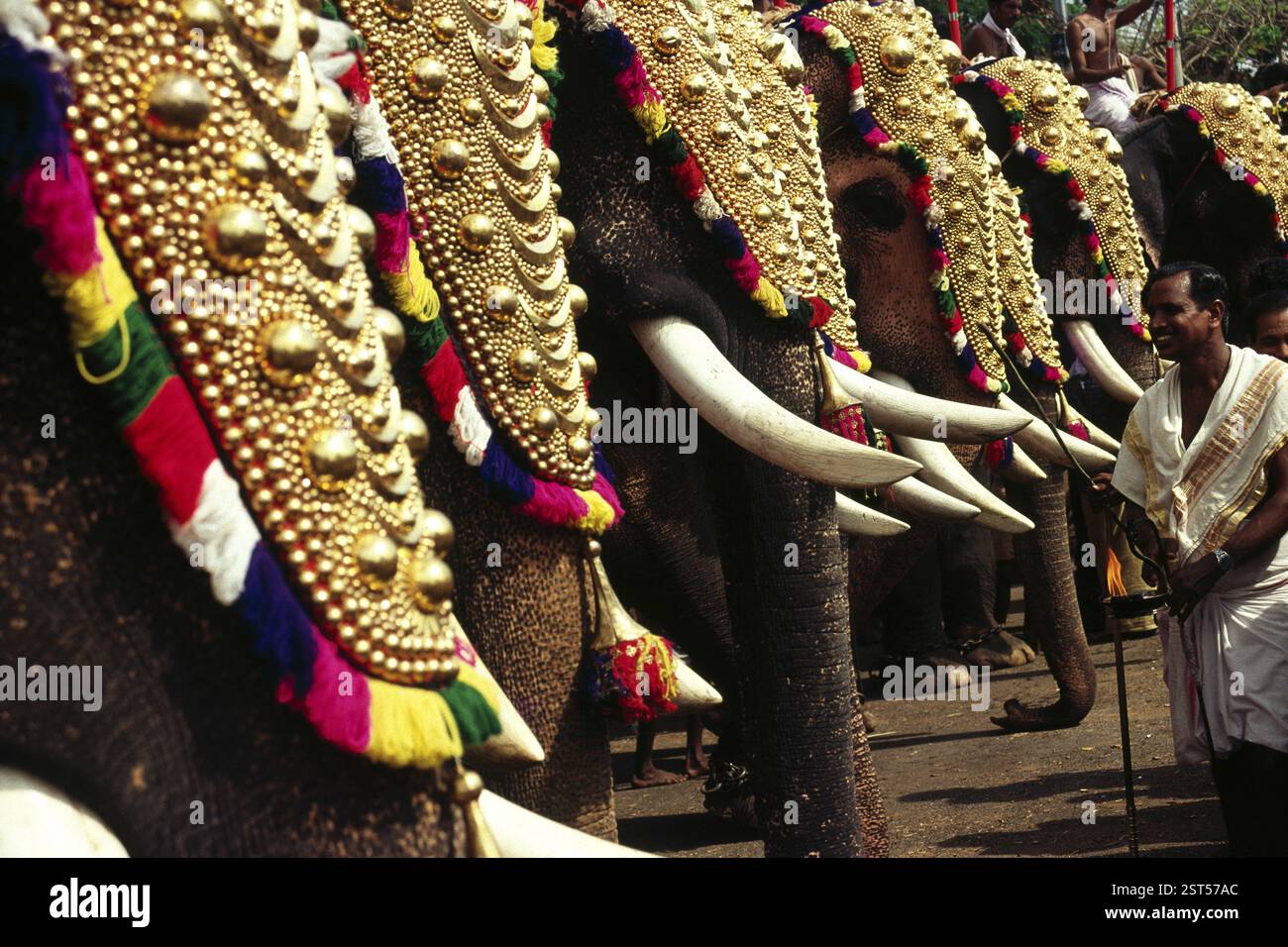 Trichurpooram pooram, Elephants March procession of bejeweled temple ...