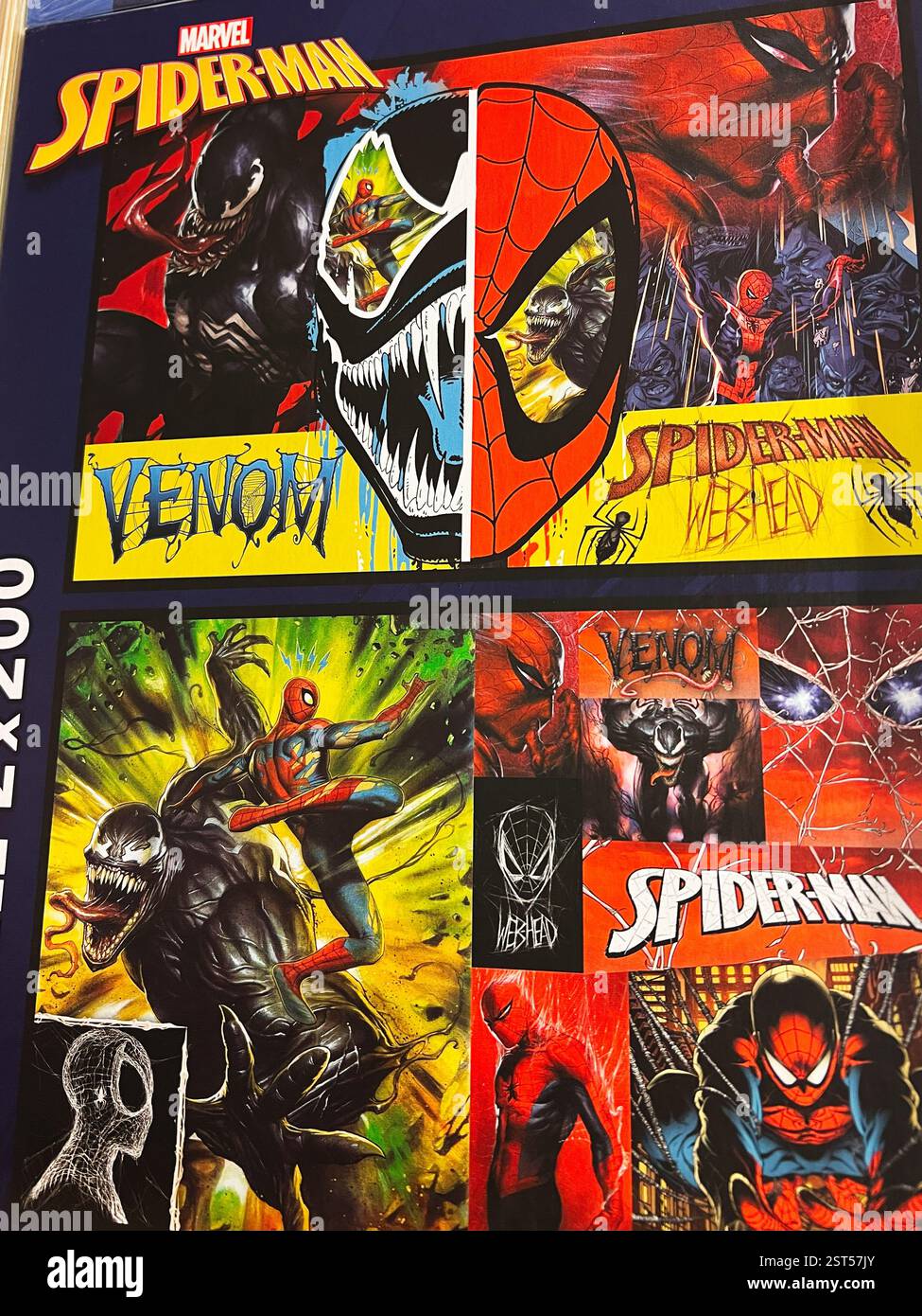 Lviv, Ukraine - February 16, 2025: Bright and vibrant artwork ...