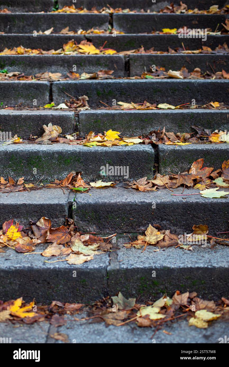 Dead leaves on the steps of a granite staircase Stock Photo - Alamy
