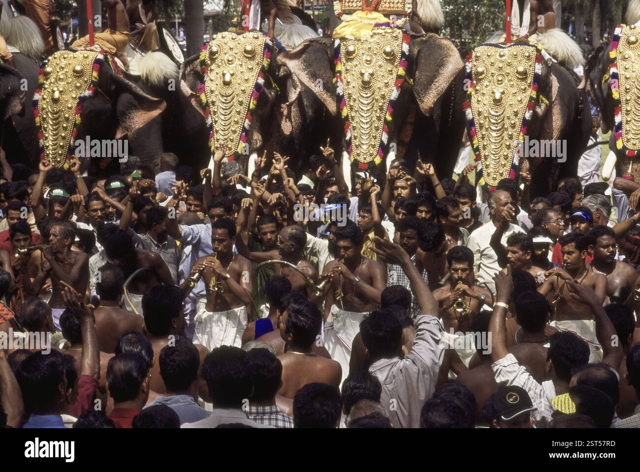 Panchavadya' Trichurpooram pooram, Elephants March procession of ...