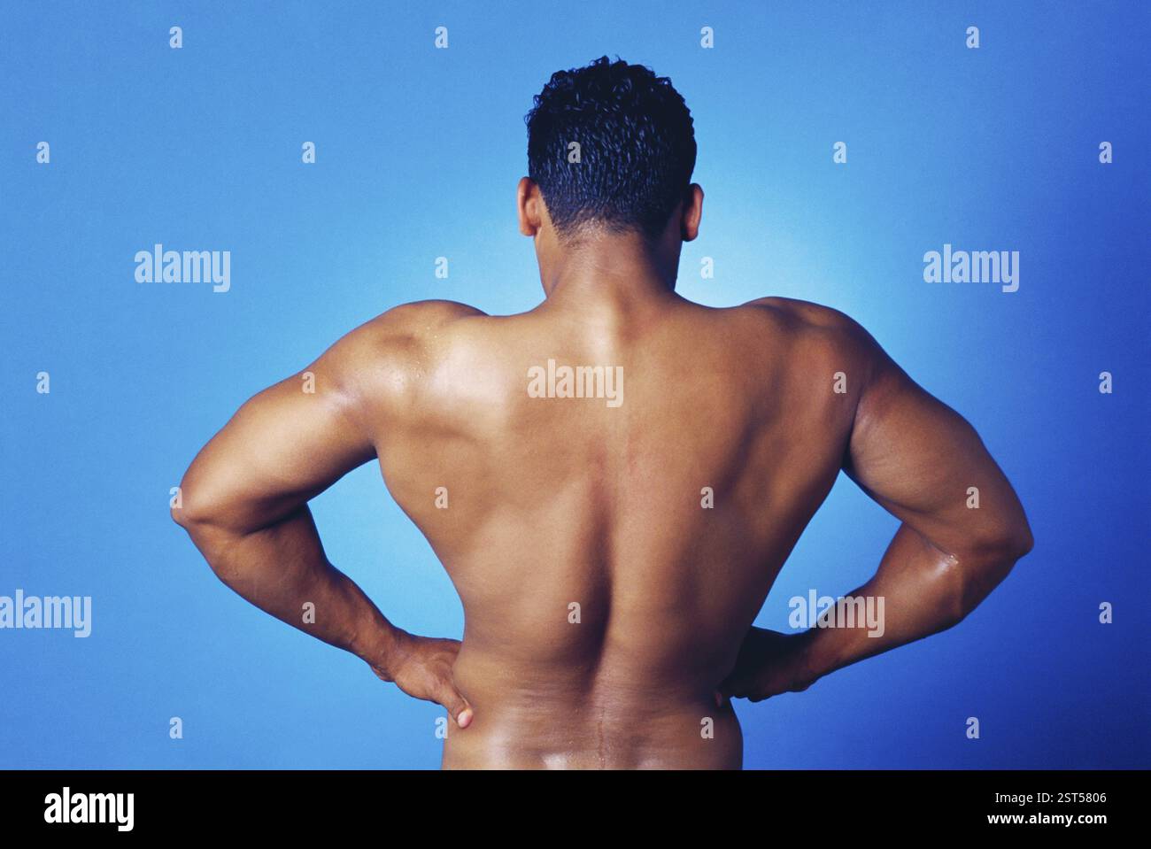 Body builder showing back lateral spread MR#411 Stock Photo - Alamy