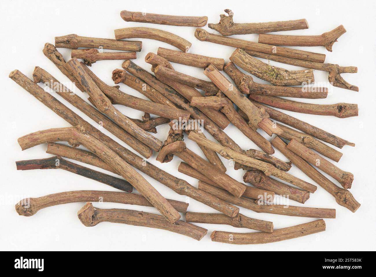 Manjistha manjishta, Indian Madder (Rubia Cordifolia linn), herbal Herb ...