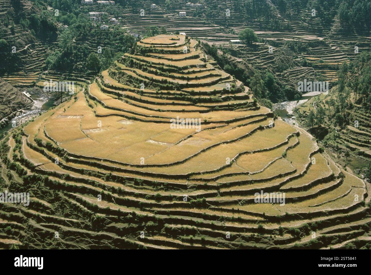 Aerial view indian agricultural fields hi-res stock photography and ...
