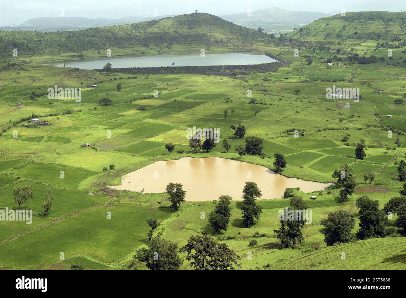 Greenery at Trimbakeshwar, near Nasik, Maharashtra, India, Asia Stock ...