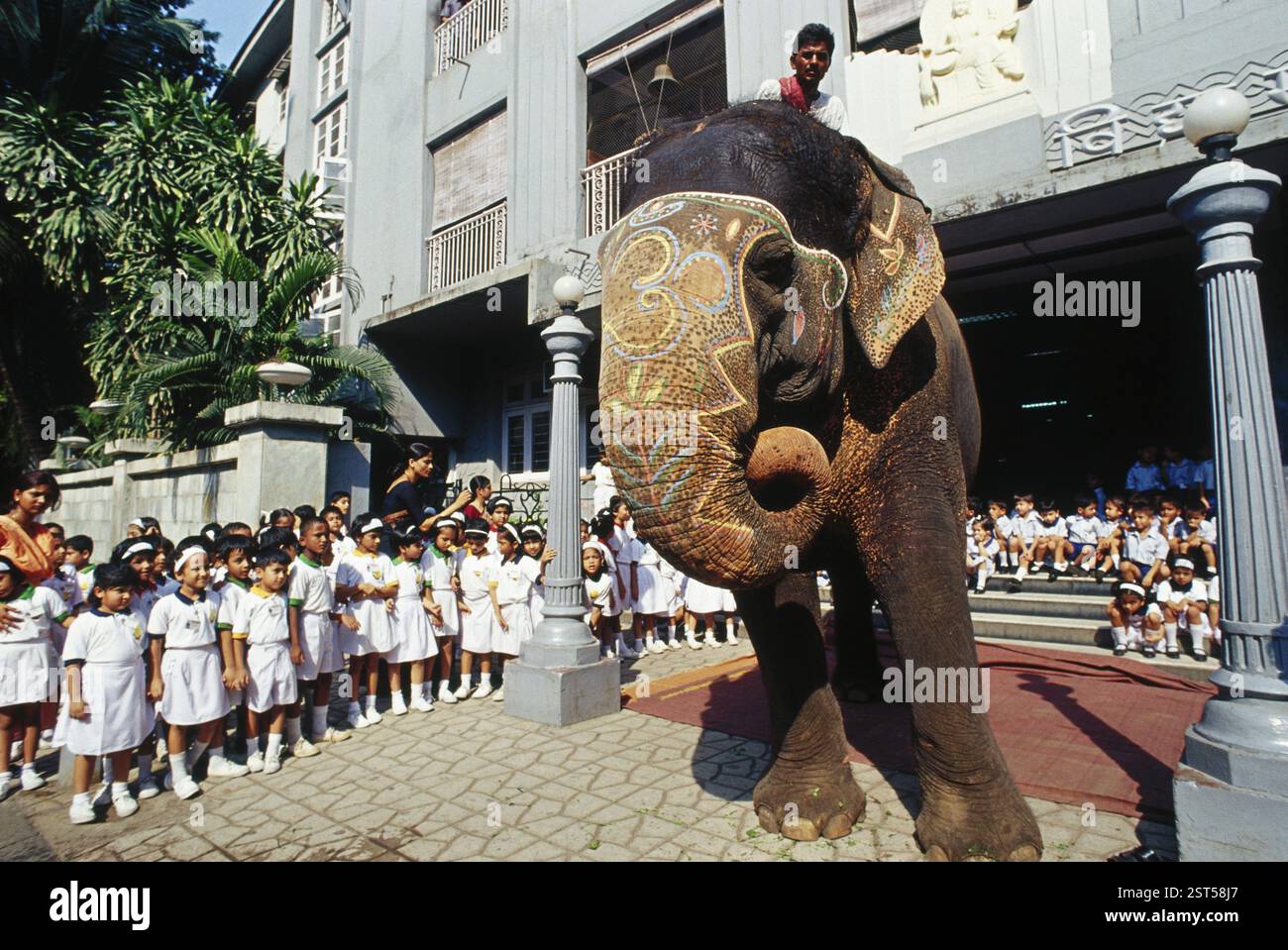 Elephants Show in school (Elephas maximus Stock Photo - Alamy