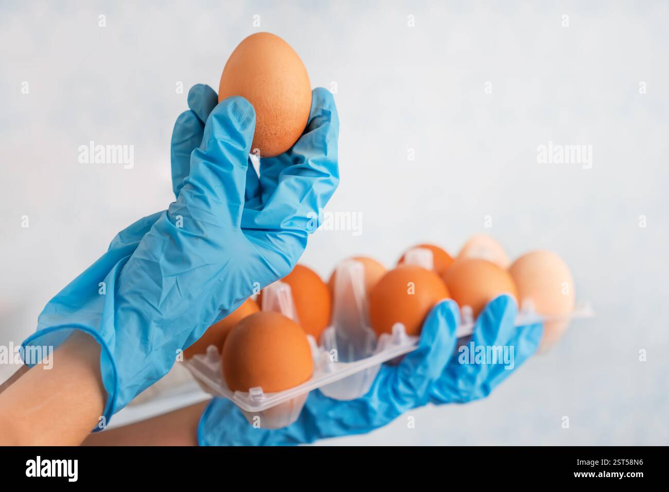 hpai avian influenza. The concept of an avian flu pandemic. Checking ...