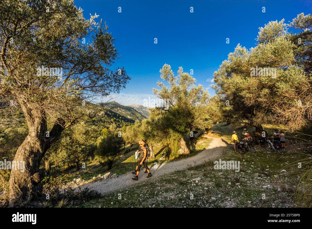 Castle Road Alaro, Orient valley, parque natural Sierra de Tramuntana ...