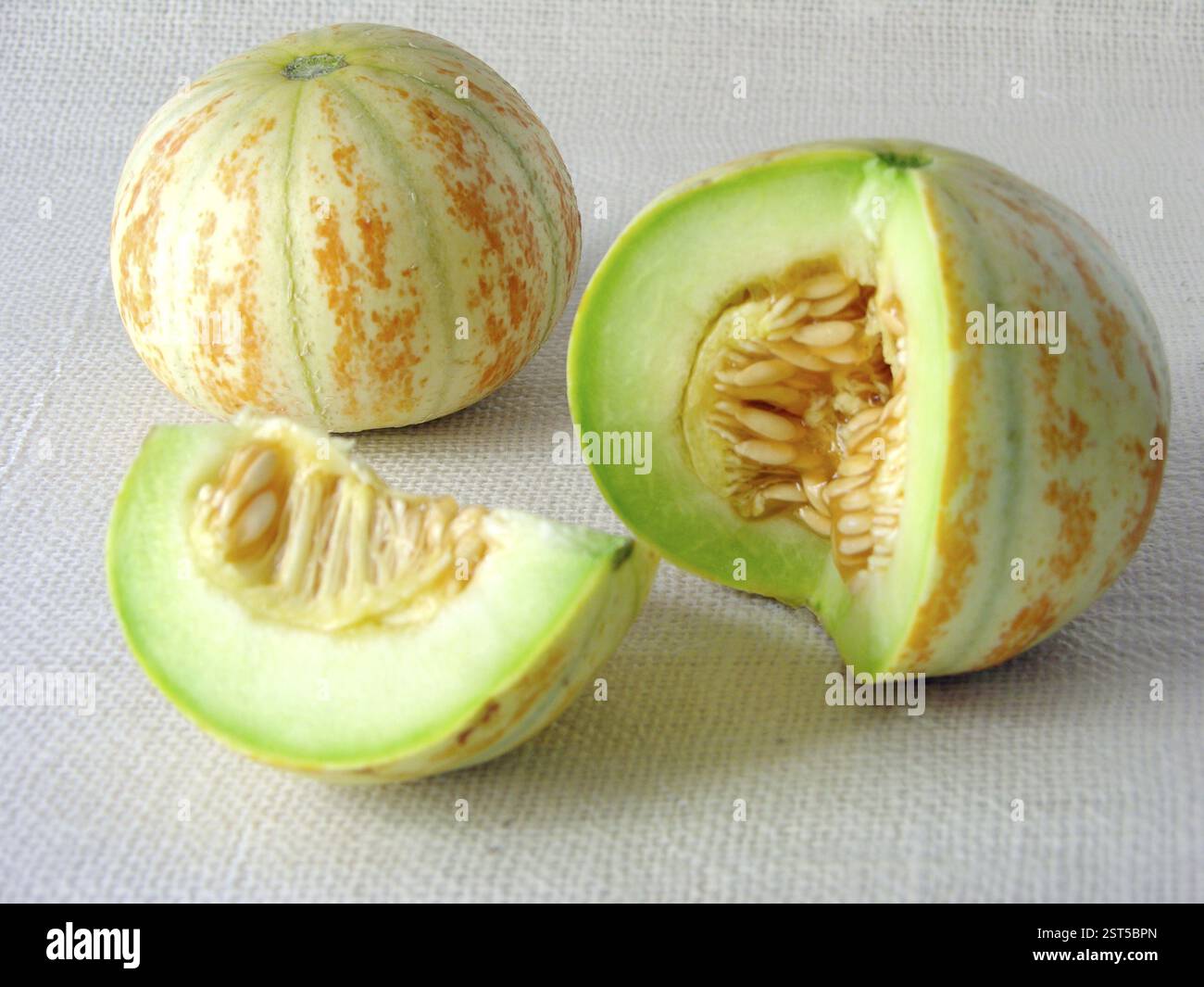 Two sweet melon, fruit food juicy tasty round circular table top studio ...