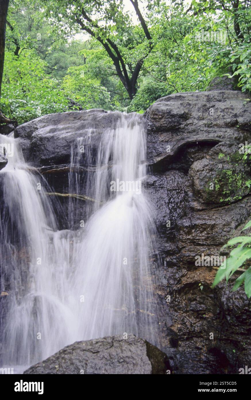 Malshej falls hi-res stock photography and images - Alamy