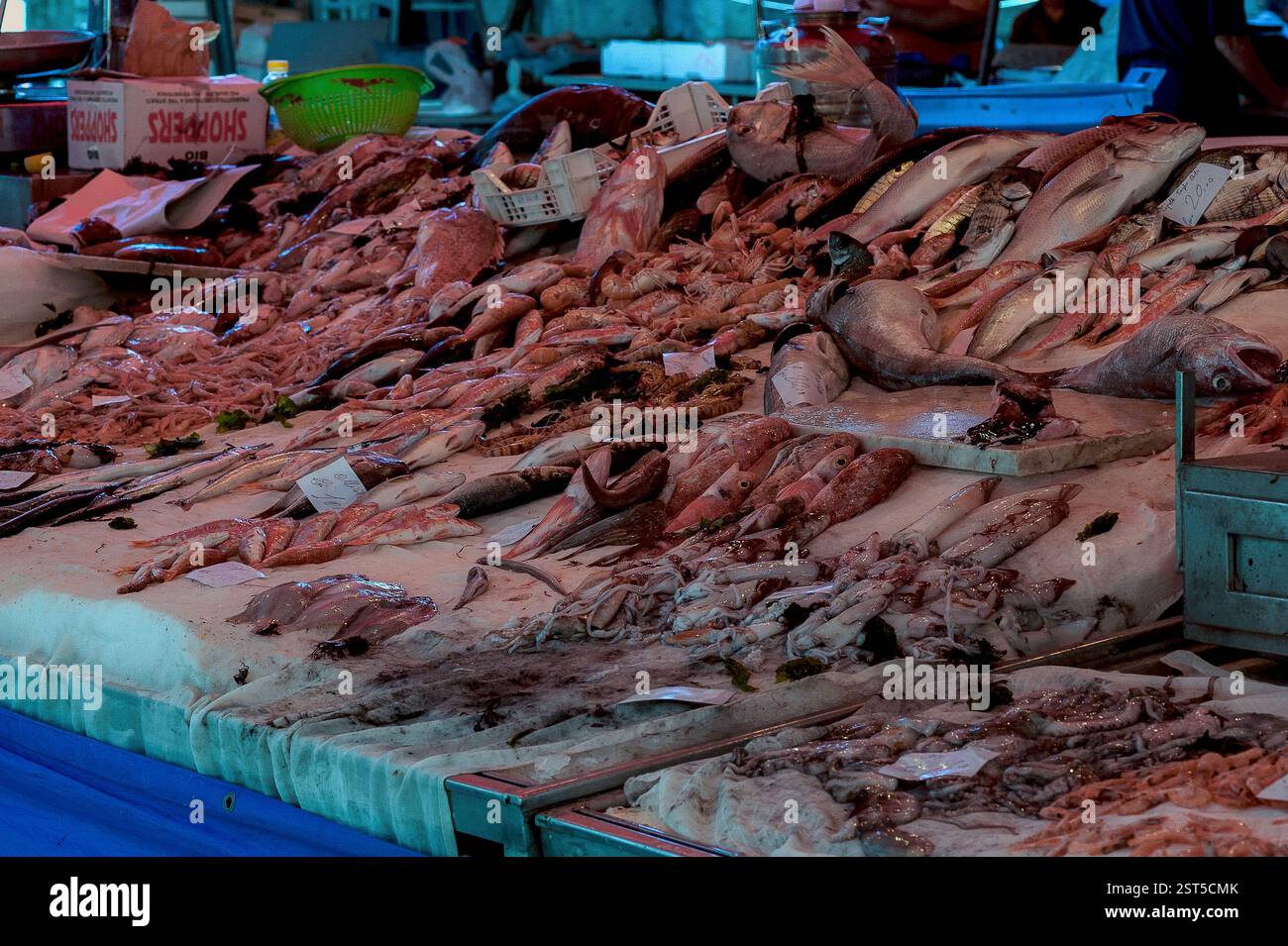 Harvesting the Ionian Sea: glistening newly-netted seafood displayed on ...