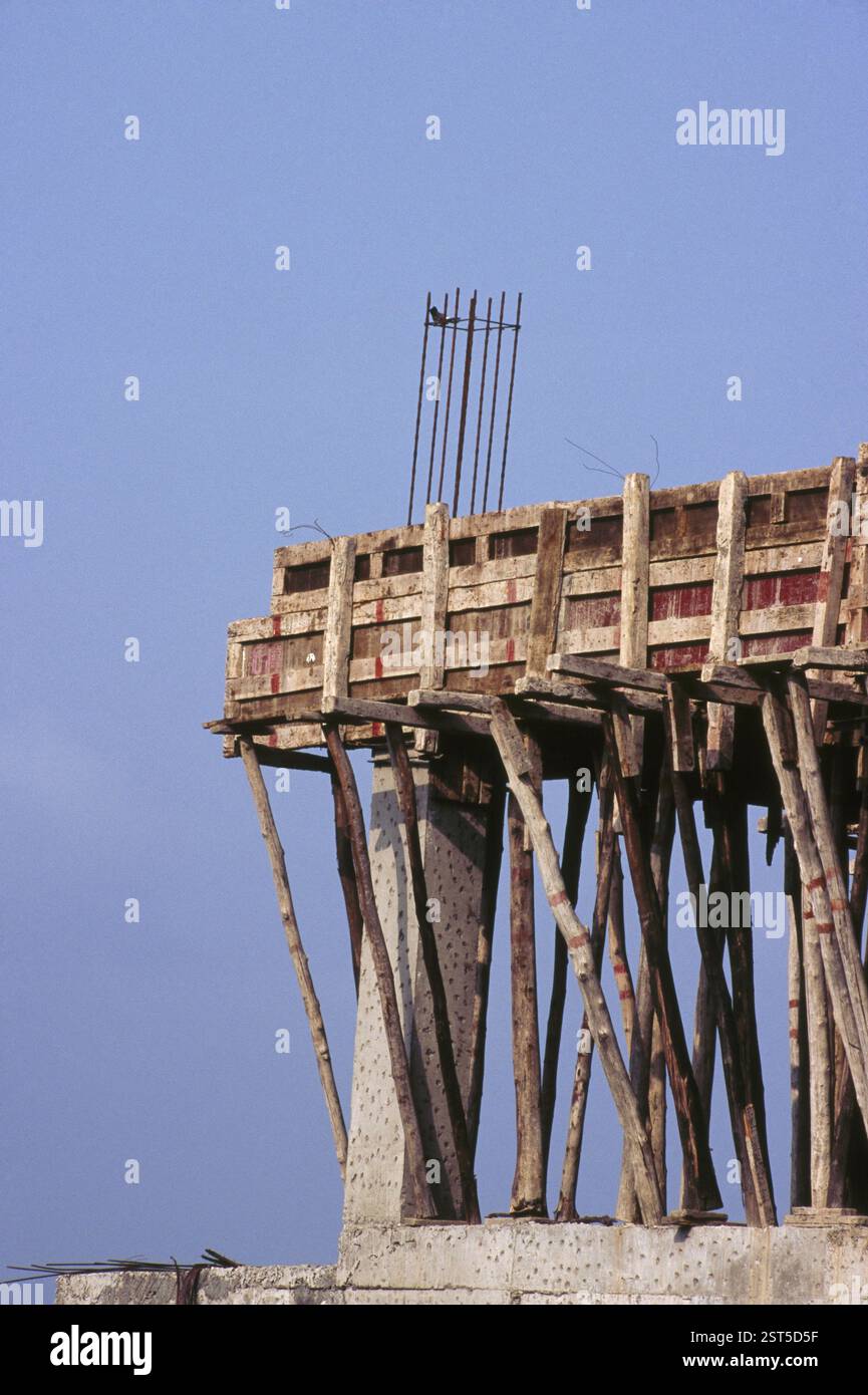 Centering work of slab, building under construction, pine, Maharashtra ...