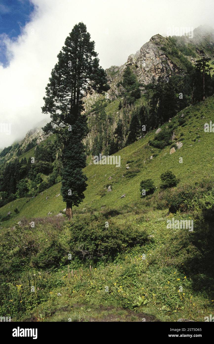 Garhwal region hi-res stock photography and images - Alamy
