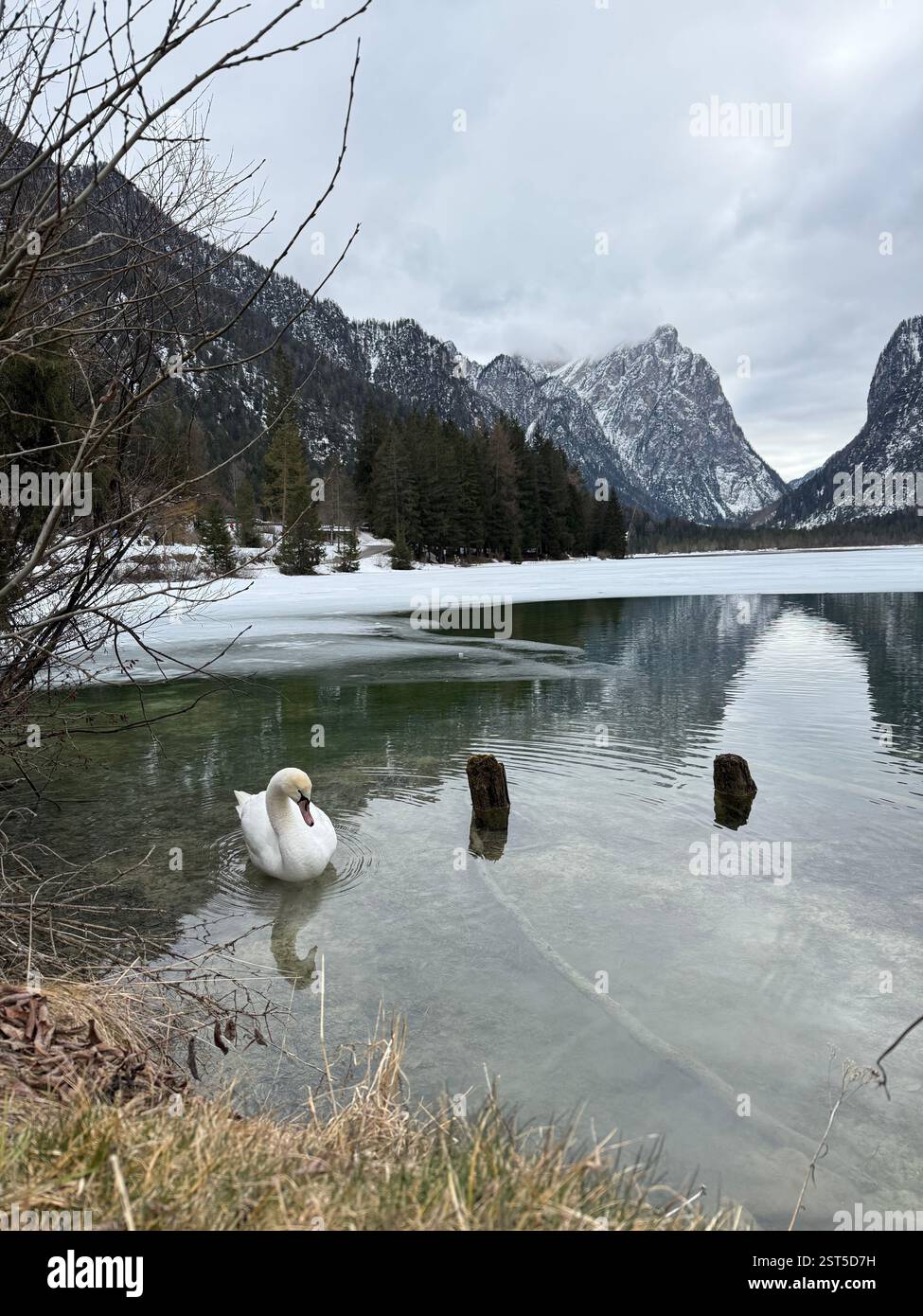Lago di Dobbiaco Stock Photo - Alamy
