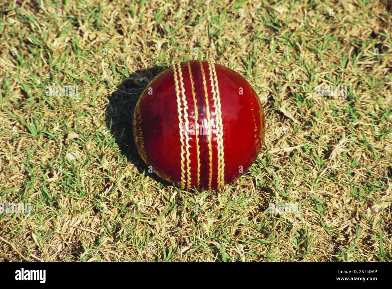 Red cricket ball on grass Stock Photo - Alamy