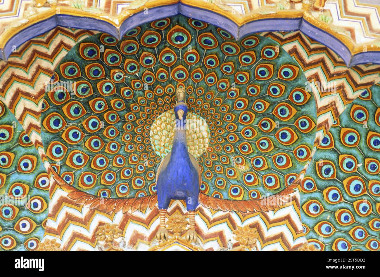 Colourful peacock, city palace, udaipur, rajasthan, india Stock Photo ...