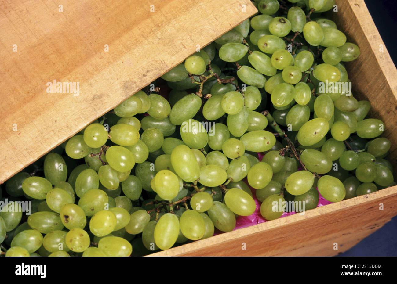 Fruits - Grapes Stock Photo - Alamy