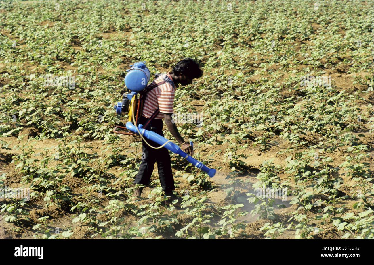 Man spraying pesticides hi-res stock photography and images - Alamy