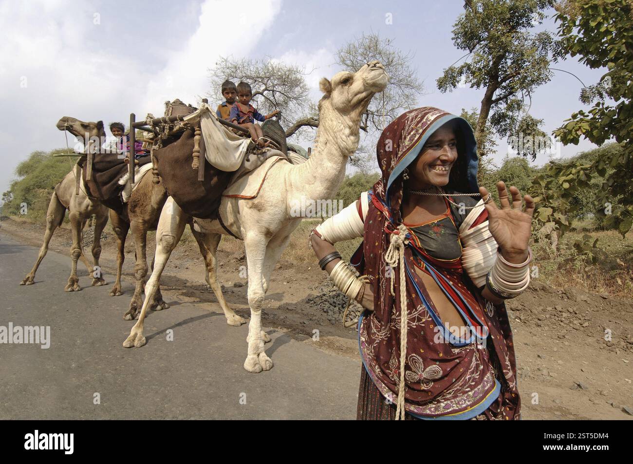 Caravan of gypsies, Akola, Akot, Maharashtra, India, Asia Stock Photo ...