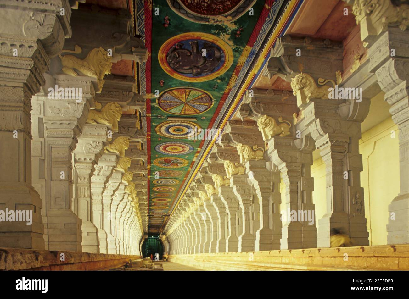 Corridor, rameshwaram temple, rameshwar, tamil nadu, India, Asia Stock ...