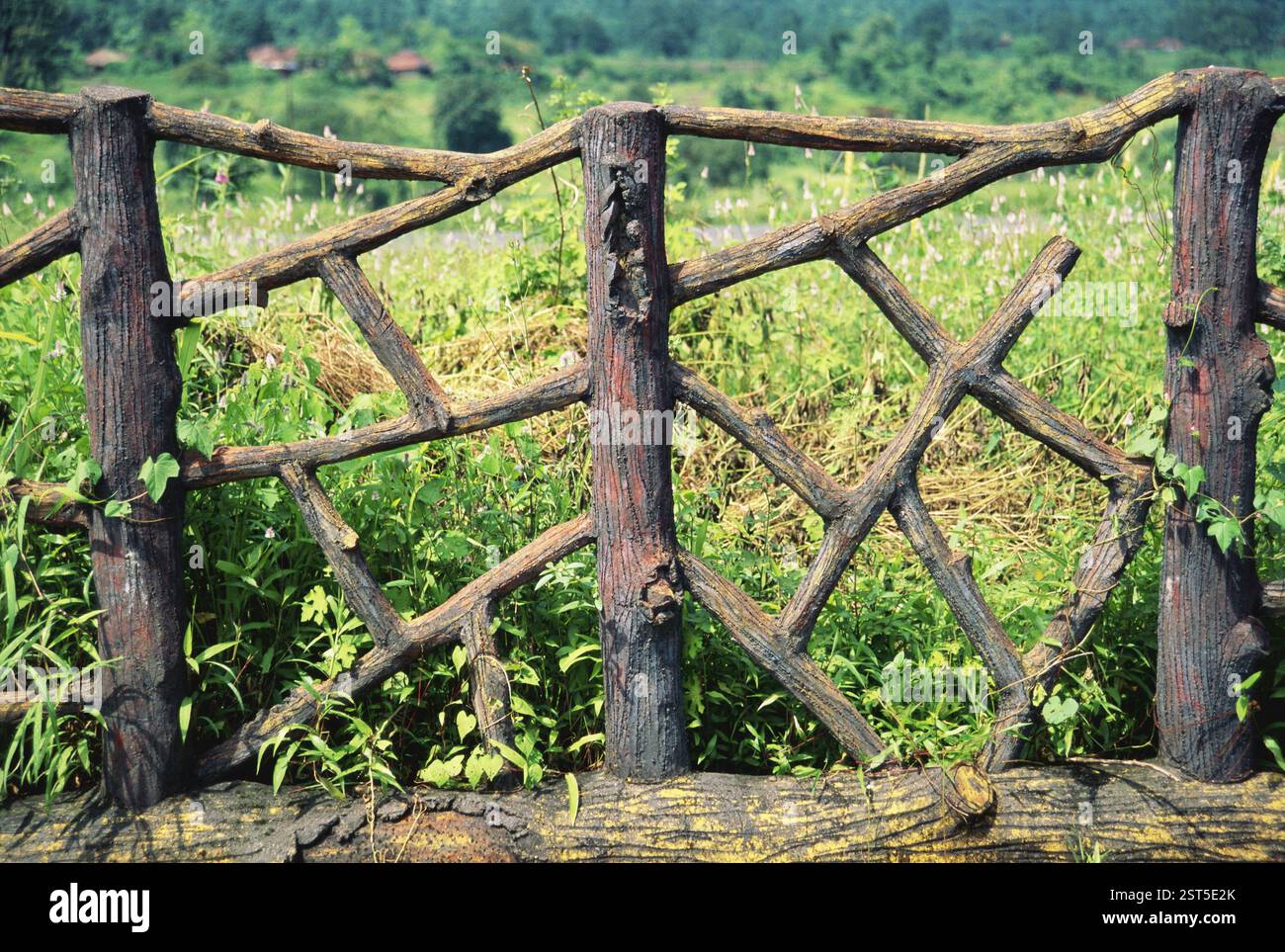 Wooden compound fence, Karjat, Maharashtra, India, Asia Stock Photo - Alamy