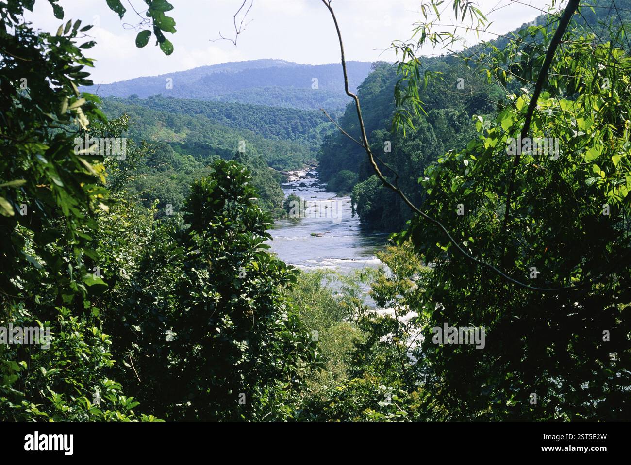 Chalakudy river, Kerala, India, Asia Stock Photo - Alamy