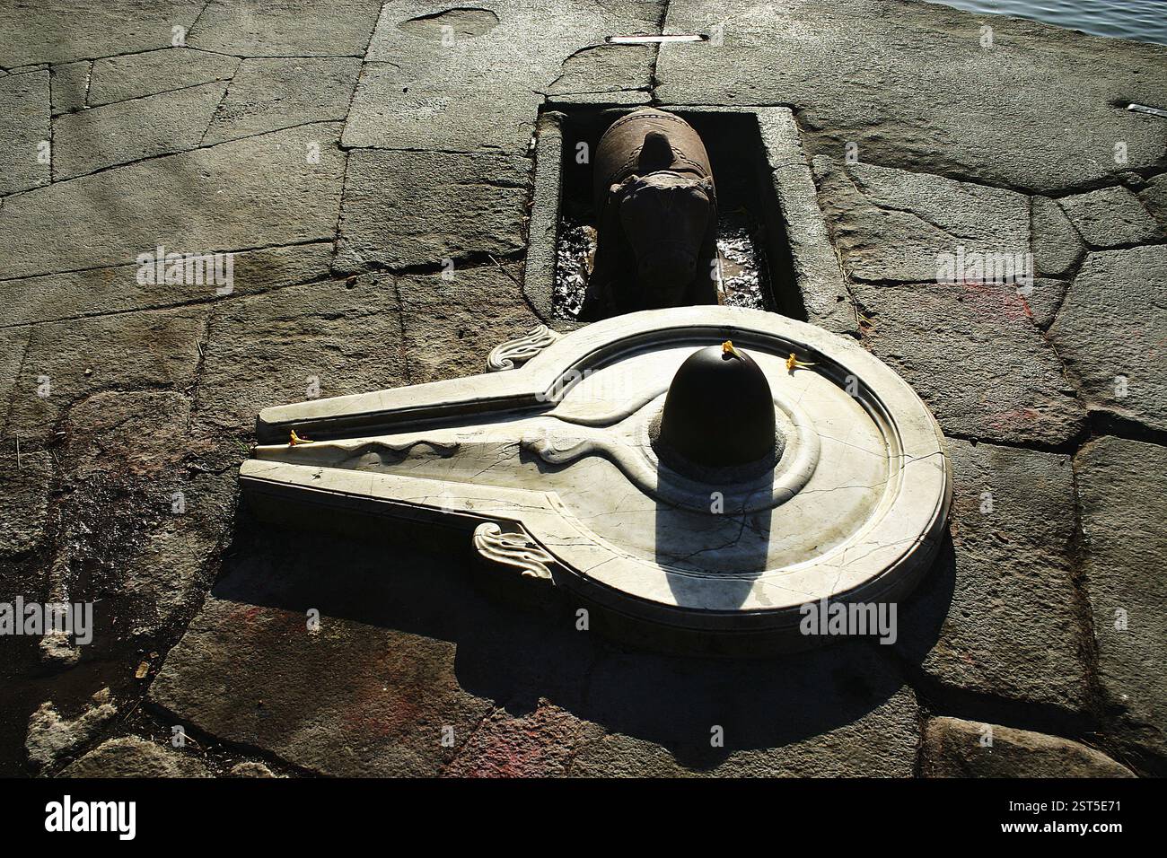 Hinduism, Shivalingam with yellow flower as offering, on the ghats of ...