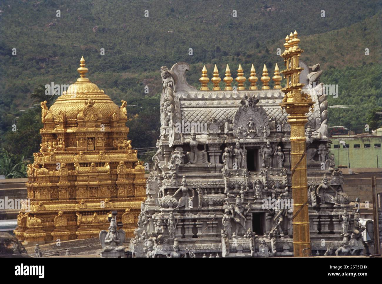 Tirupati Balaji Temple, Andhra Pradesh, india Stock Photo - Alamy Tirupati Balaji Temple, Andhra Pradesh, india Stock Photo - Alamy