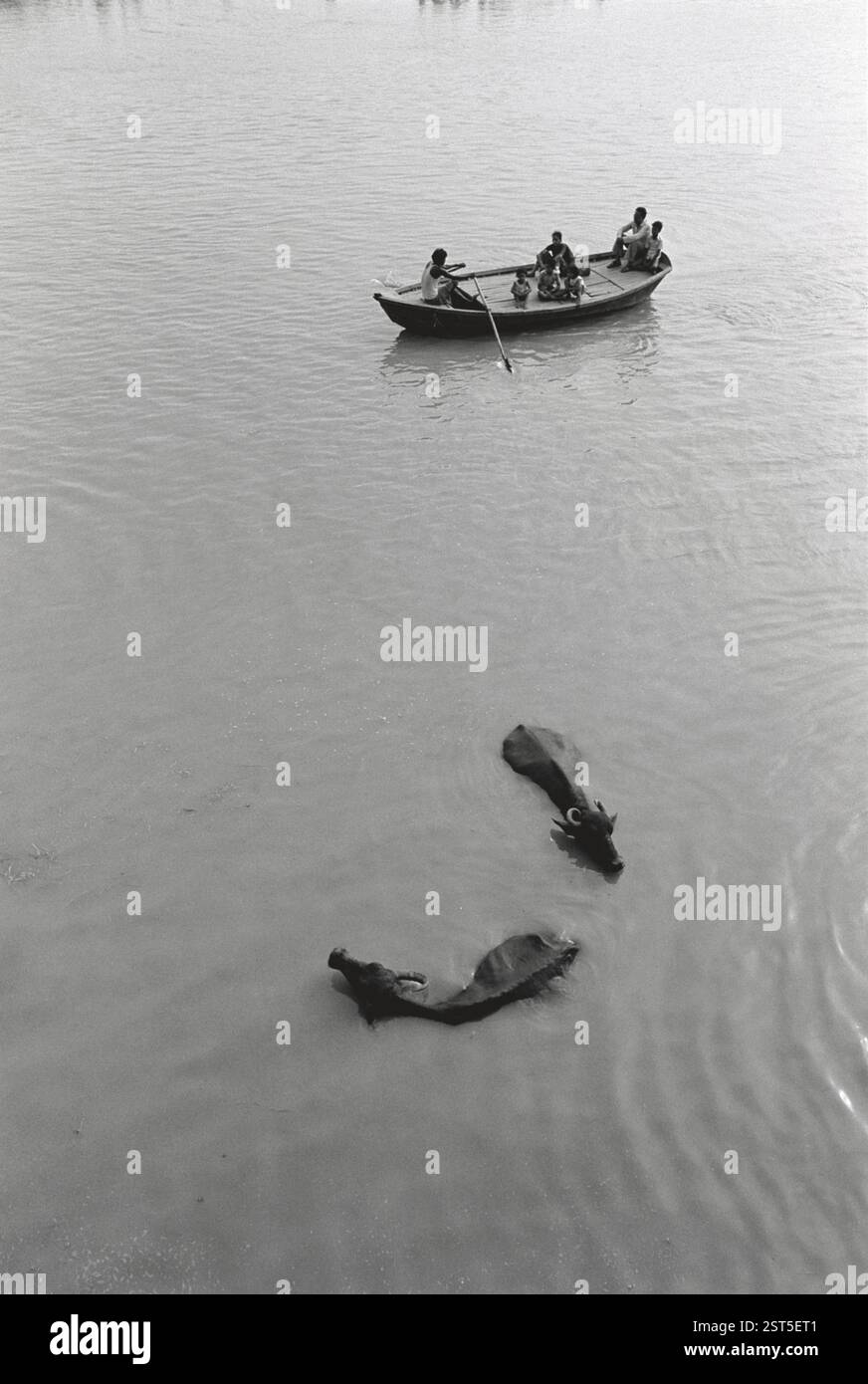 People seated in boat Crossing the Ganga, Kanpur, Uttar Pradesh, India ...