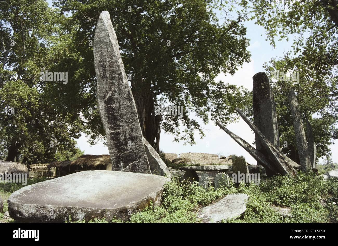 Nartiang memorial stones, Meghalaya, India, Asia Stock Photo - Alamy