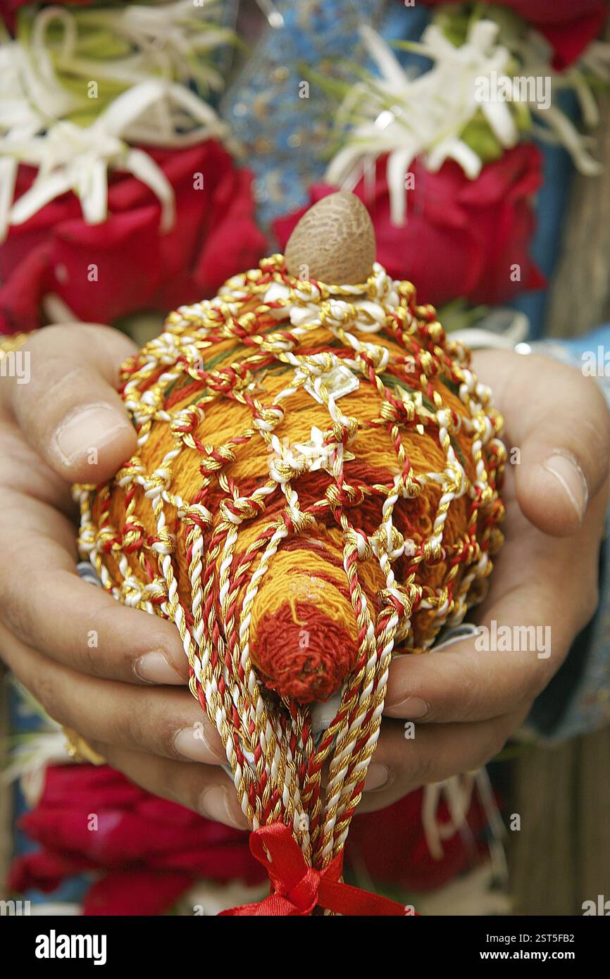 An Indian Gujarati Groom holding a decorated dried coconut during his ...
