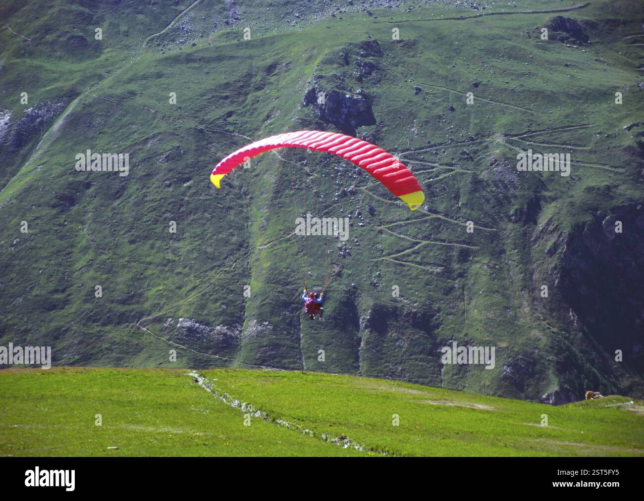 Parasailing, paraglider holding parachute landing Stock Photo - Alamy