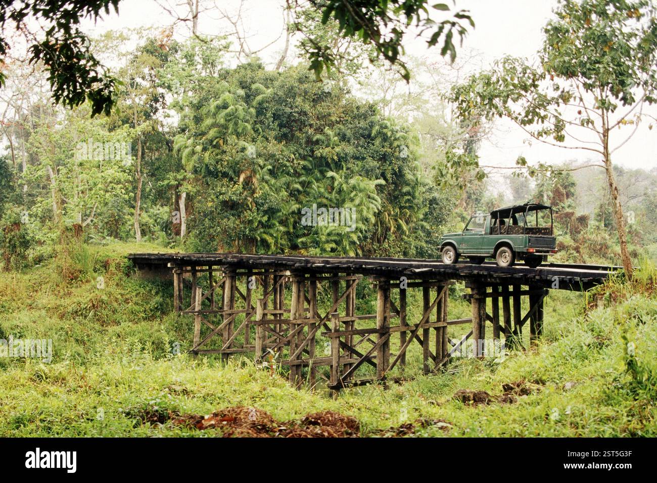 Car on wooden bridge, Kaziranga national park, Assam, India, Asia Stock ...