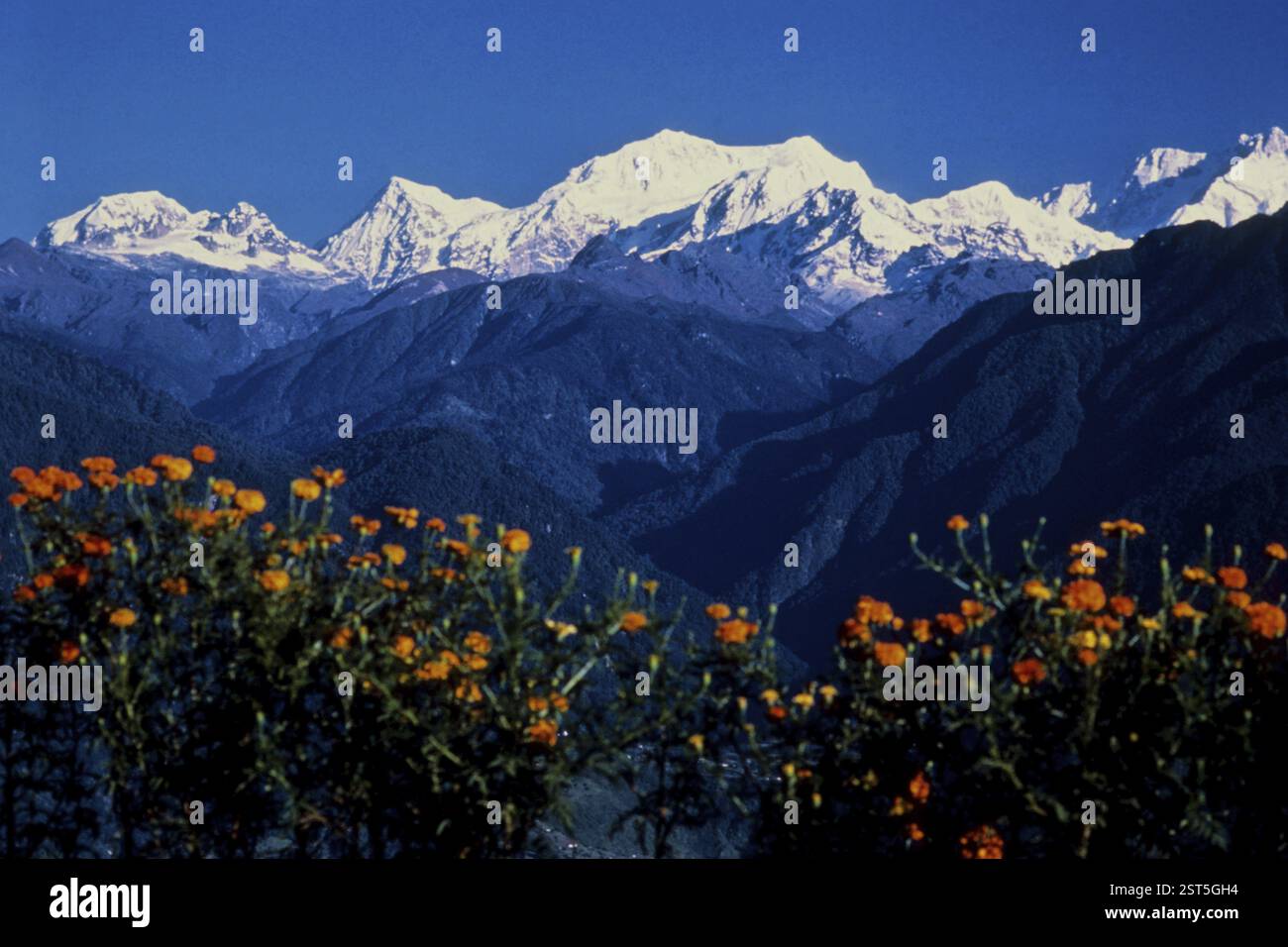 Row of mountains, Kangchenjunga, sikkim, india Stock Photo - Alamy